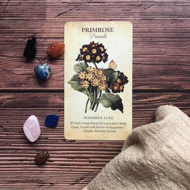 Following an Intriguing Oracle Card Guidance - Cathy Teoste